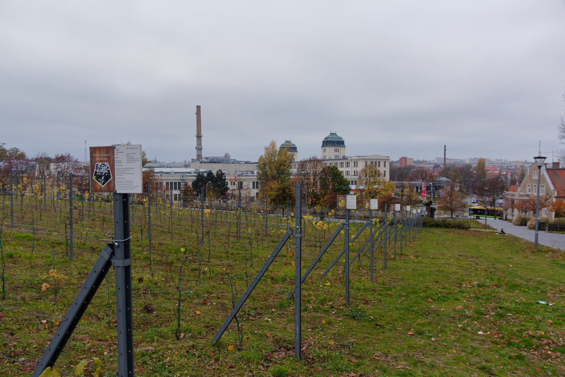 Top things to do in Zielona Gora - Explore Poland