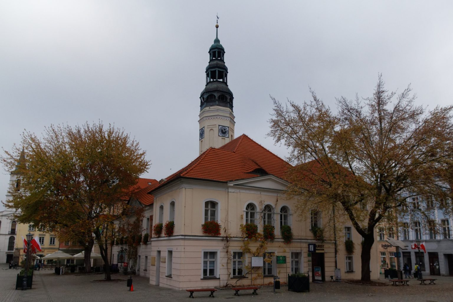 Top things to do in Zielona Gora - Explore Poland